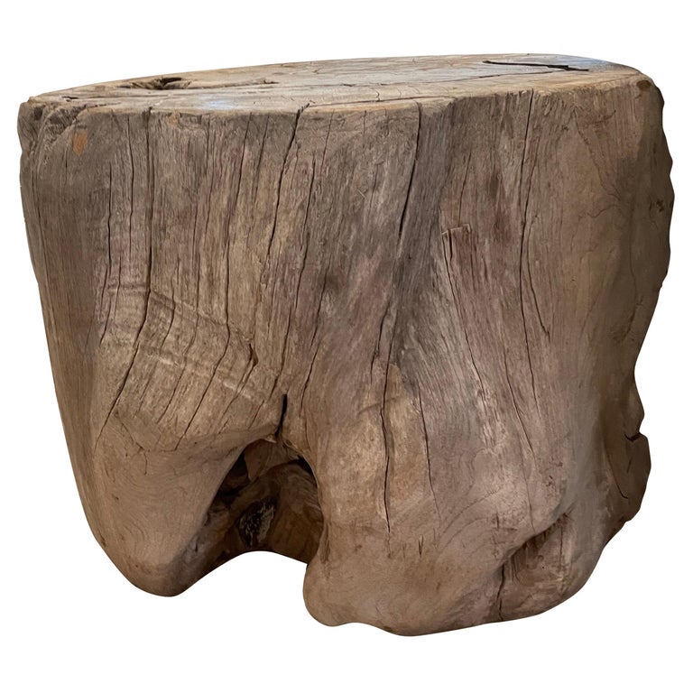 Vintage Teak Root Table at 1stDibs