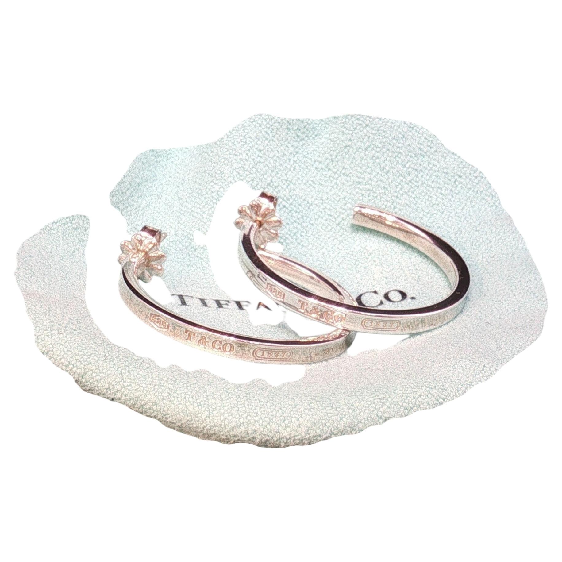 Vintage Tiffany and Co Paloma Picasso Double Loving Heart Earrings ...