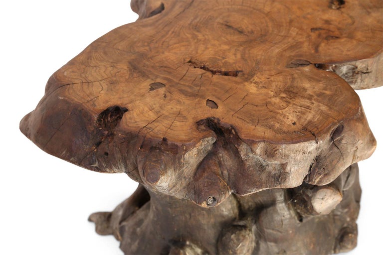 Vintage Dark Brown Tree Trunk Coffee Table at 1stDibs