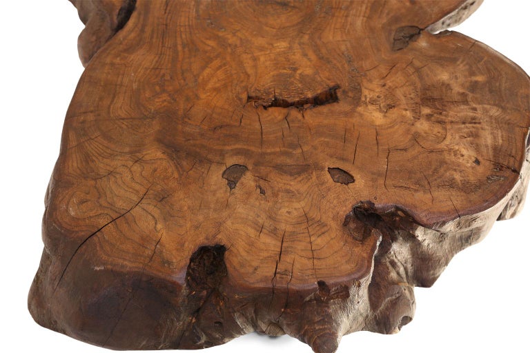 Vintage Dark Brown Tree Trunk Coffee Table at 1stDibs