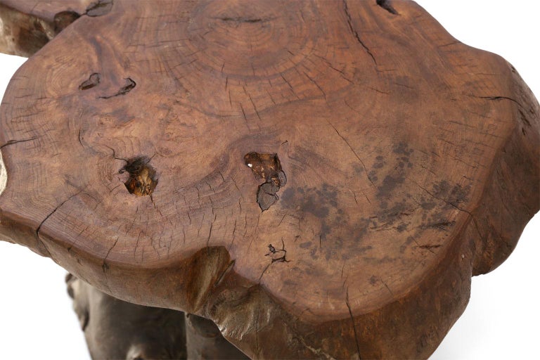 Vintage Dark Brown Tree Trunk Coffee Table at 1stDibs