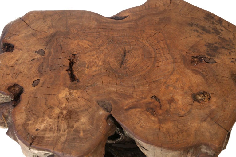 Vintage Dark Brown Tree Trunk Coffee Table at 1stDibs