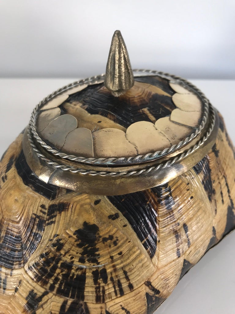 Vintage Turtle Shell Box at 1stDibs