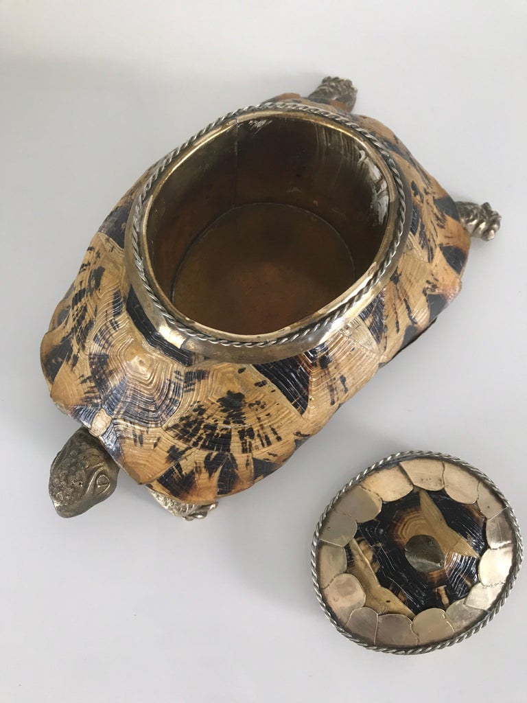 Vintage Turtle Shell Box at 1stDibs