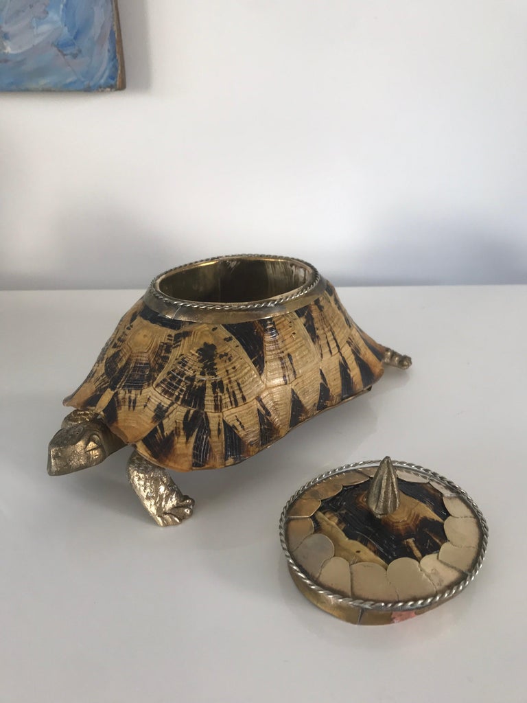 Vintage Turtle Shell Box at 1stDibs