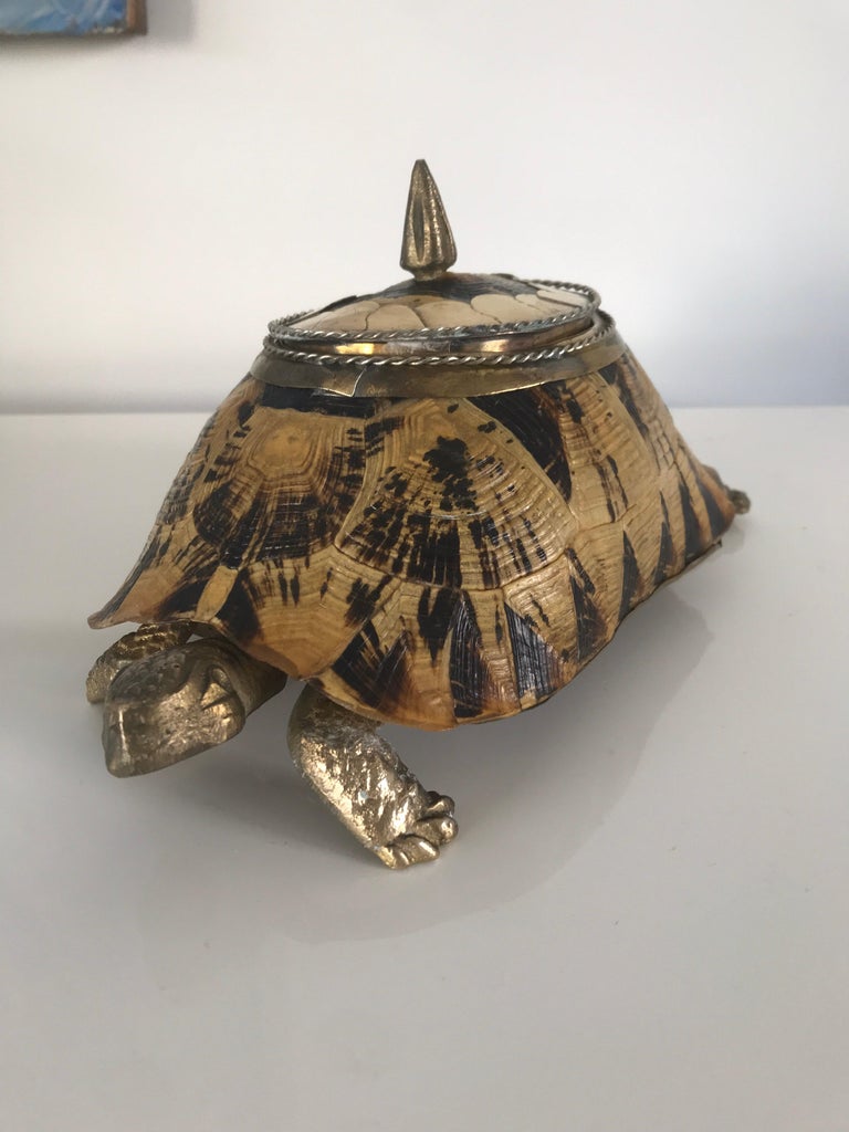 Vintage Turtle Shell Box at 1stDibs