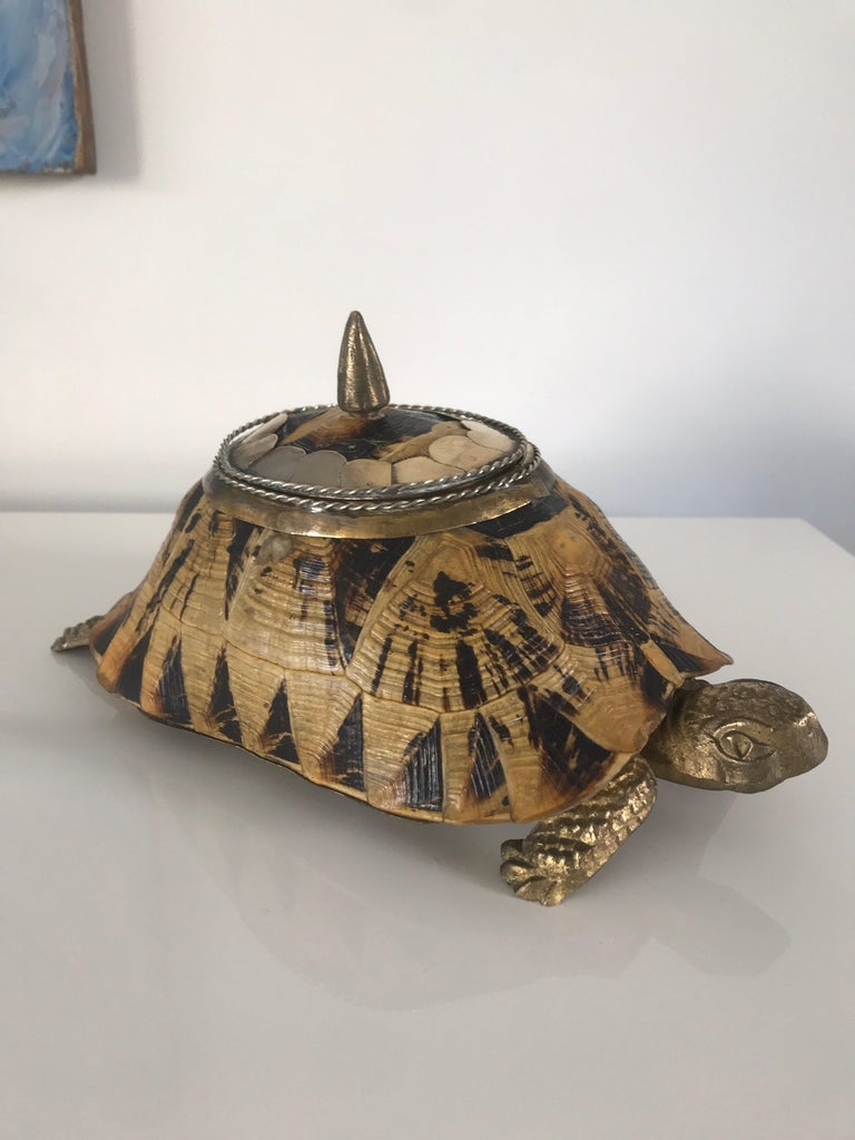 Vintage Turtle Shell Box at 1stDibs