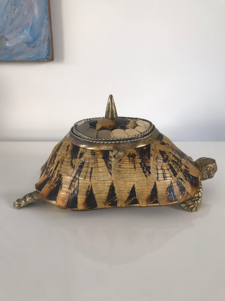 Vintage Turtle Shell Box at 1stDibs