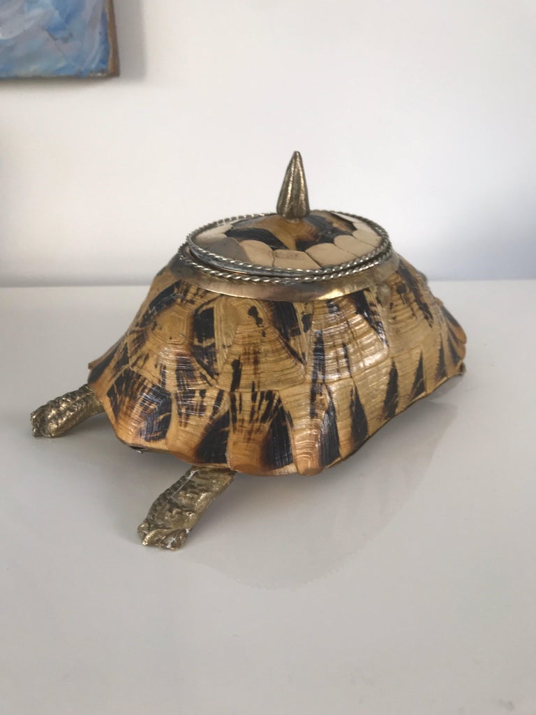Vintage Turtle Shell Box at 1stDibs