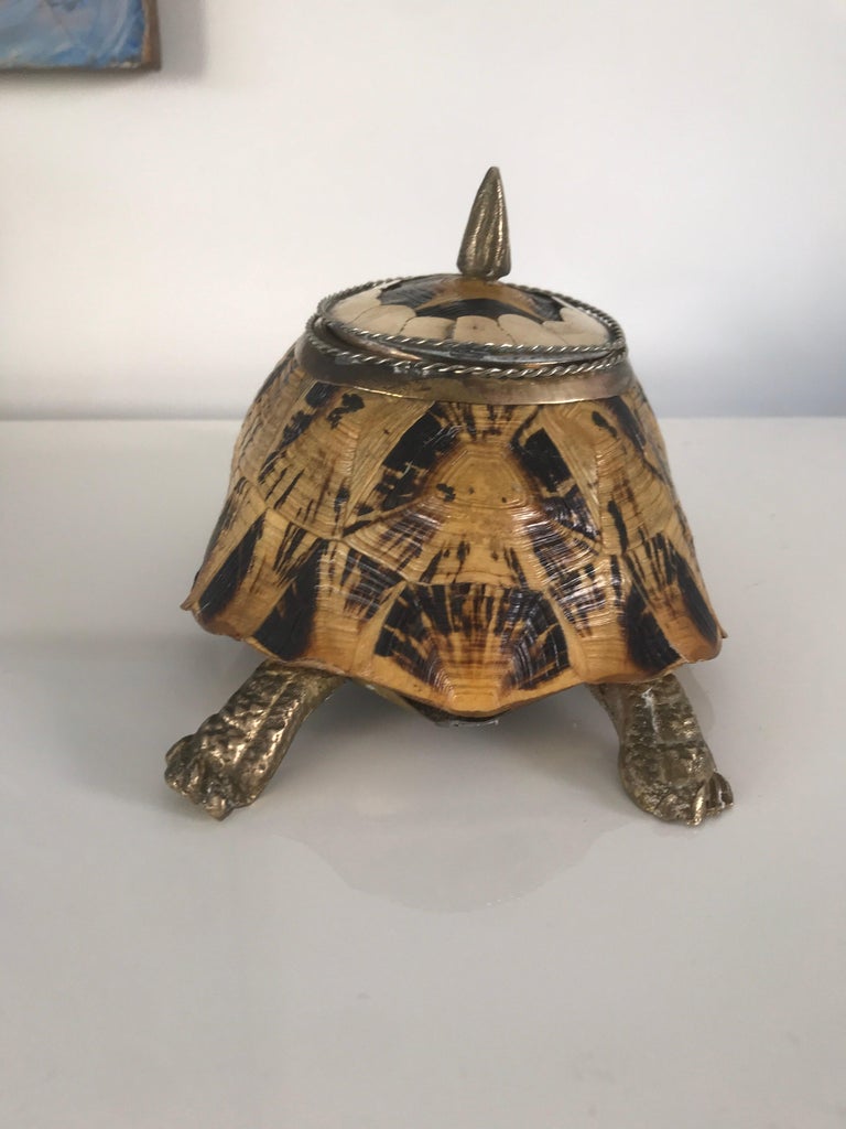 Vintage Turtle Shell Box at 1stDibs