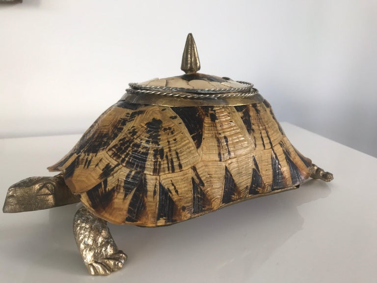 Vintage Turtle Shell Box at 1stDibs