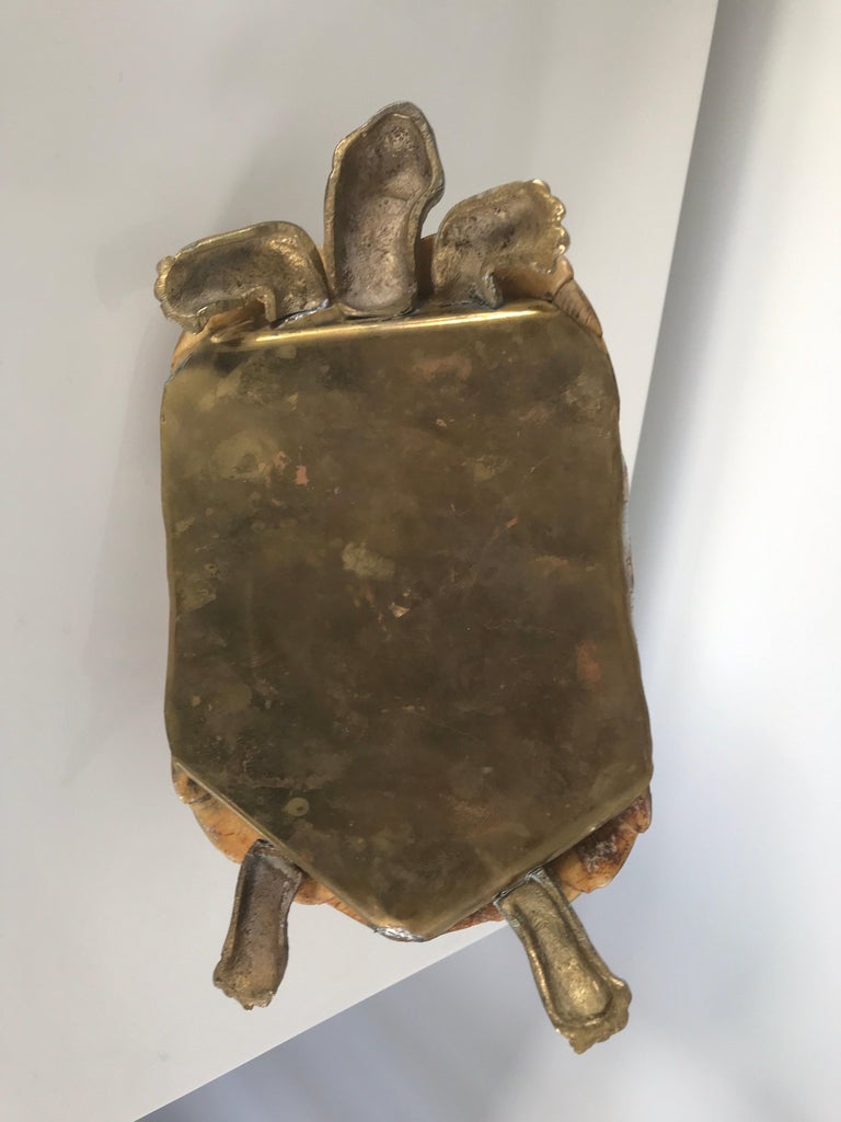 Vintage Turtle Shell Box at 1stDibs