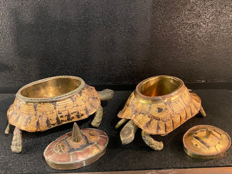 Vintage Turtle Shell Boxes at 1stDibs