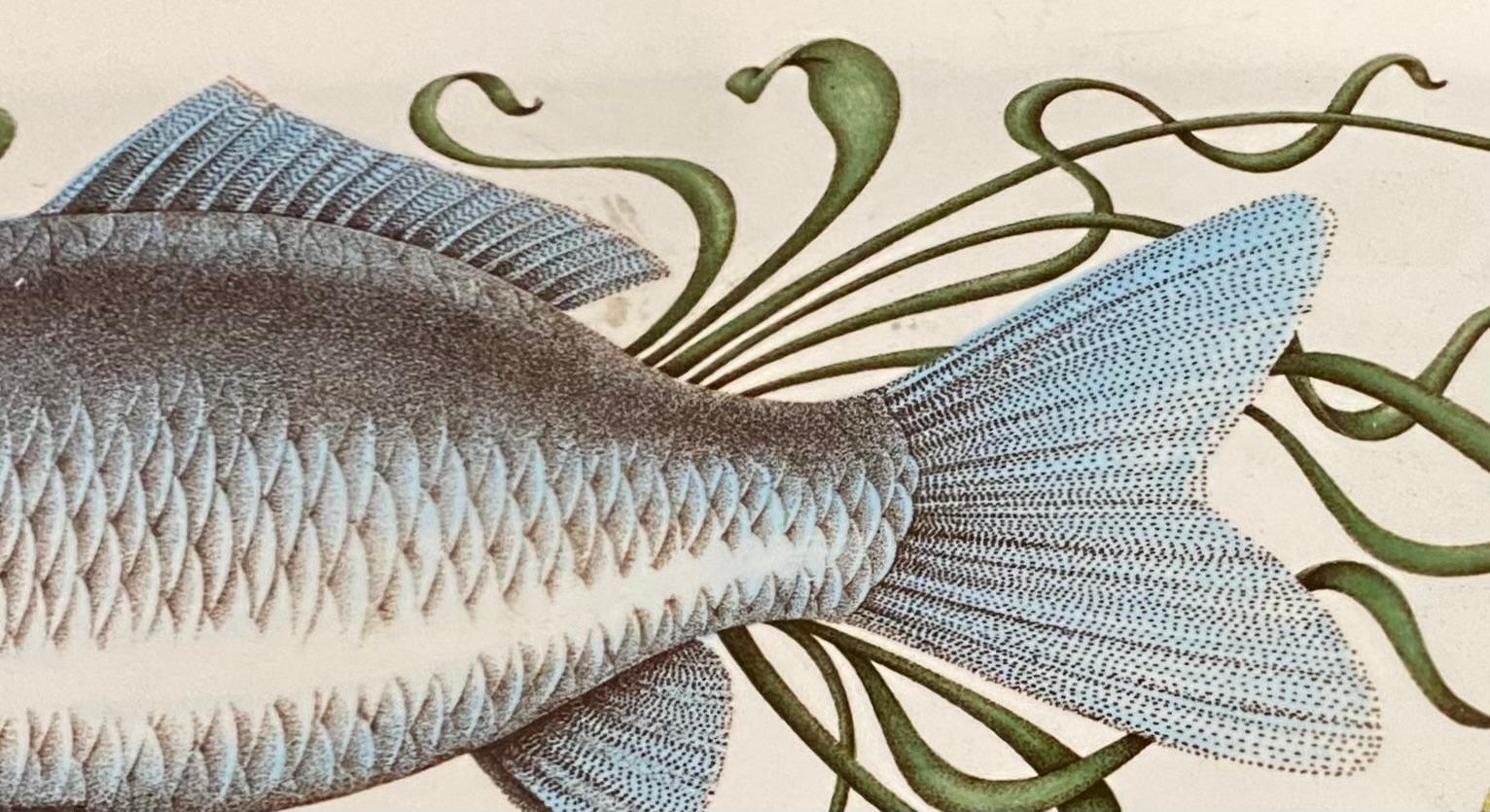 Vintage Villeroy and Boch Atlantic Fish Platter Made In Luxembourg at ...