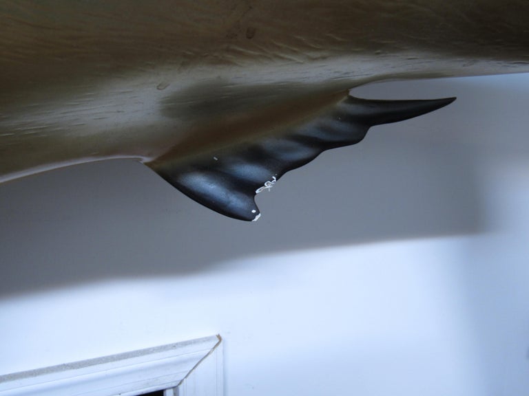 Vintage Wall Mount Swordfish at 1stDibs | swordfish wall mount, mounted ...