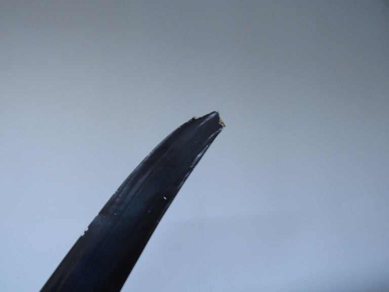 Vintage Wall Mount Swordfish at 1stDibs | swordfish wall mount, mounted ...