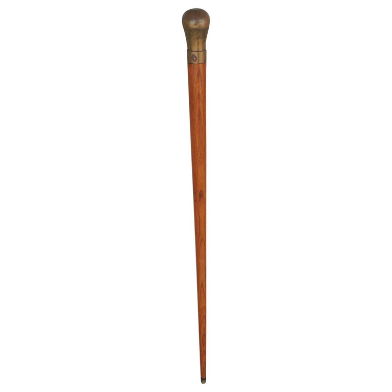 Vintage Wood and Brass Walking Stick at 1stDibs