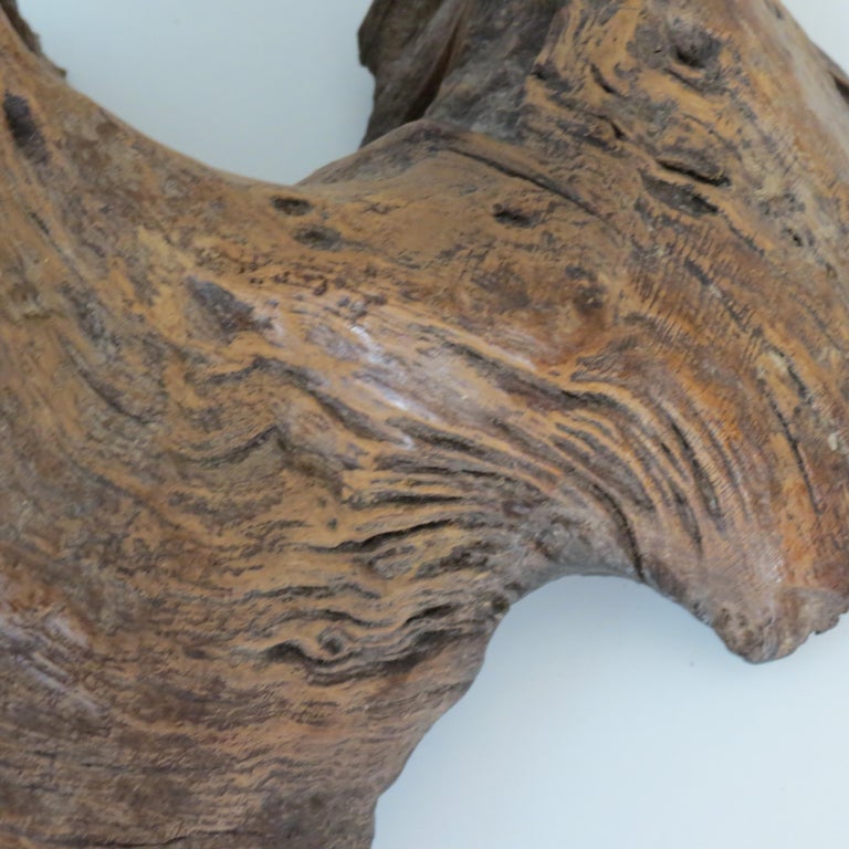 Vintage Wooden Freeform Charred Wooden Sculpture For Sale at 1stDibs