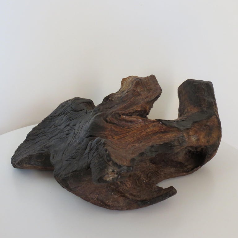 Vintage Wooden Freeform Charred Wooden Sculpture For Sale at 1stDibs