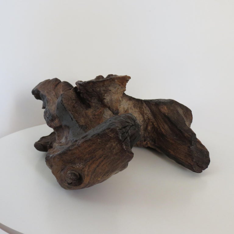 Vintage Wooden Freeform Charred Wooden Sculpture For Sale at 1stDibs