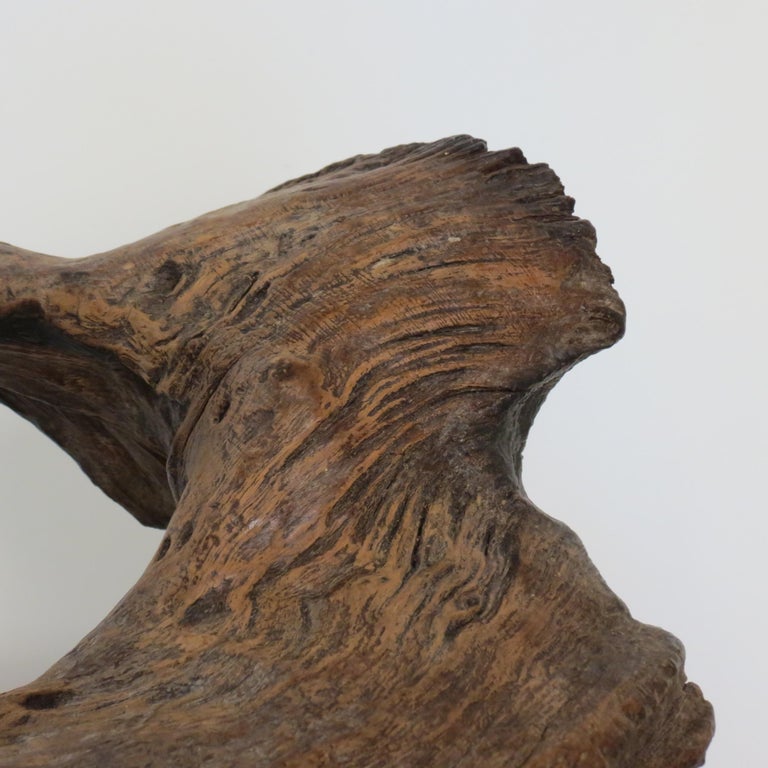 Vintage Wooden Freeform Charred Wooden Sculpture For Sale at 1stDibs