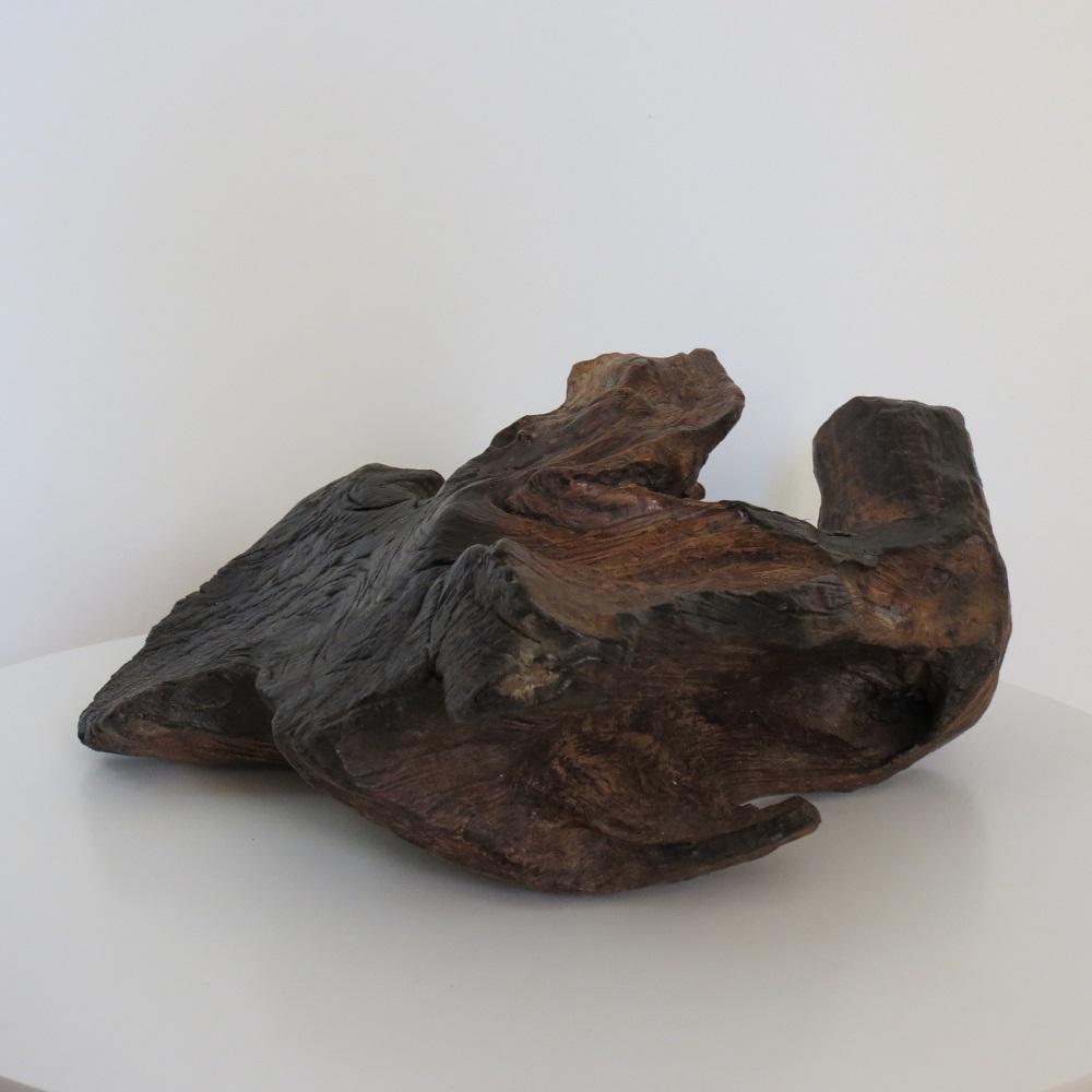 Vintage Wooden Freeform Charred Wooden Sculpture For Sale at 1stDibs