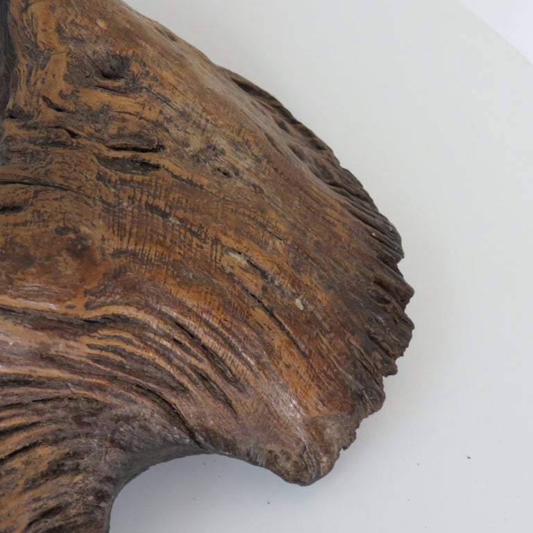 Vintage Wooden Freeform Charred Wooden Sculpture For Sale at 1stDibs