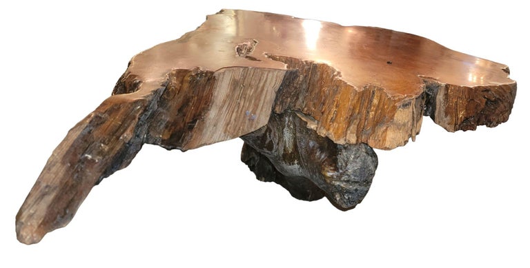 Vintage Wooden Slab Tree Trunk Coffee Table For Sale at 1stDibs