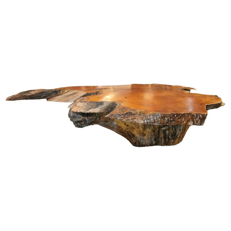 Vintage Wooden Slab Tree Trunk Coffee Table For Sale at 1stDibs