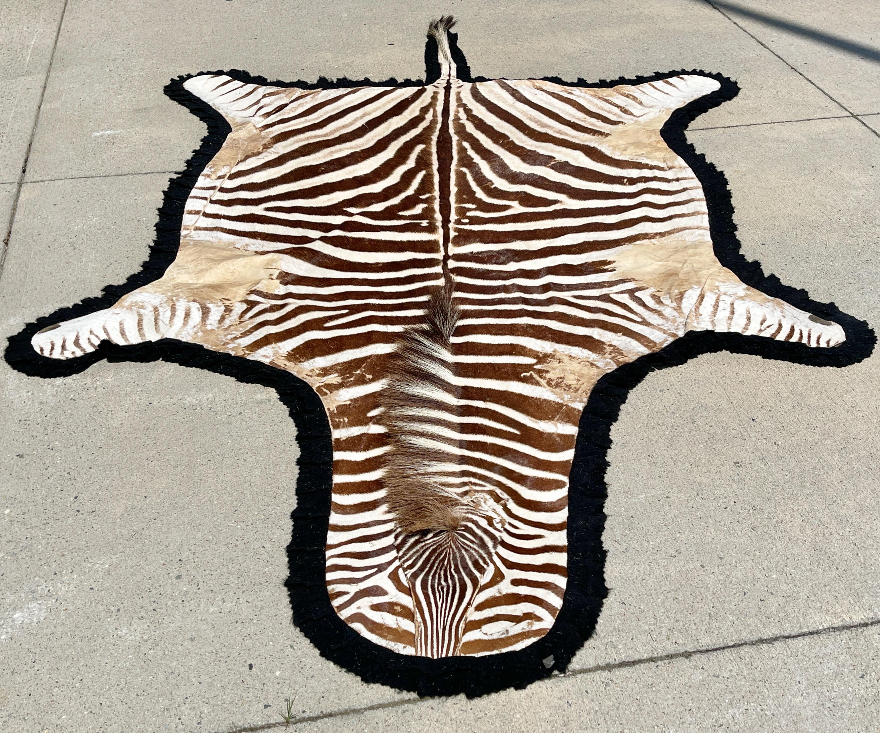Vintage Zebra Hide Rug with Felt Back For Sale at 1stDibs