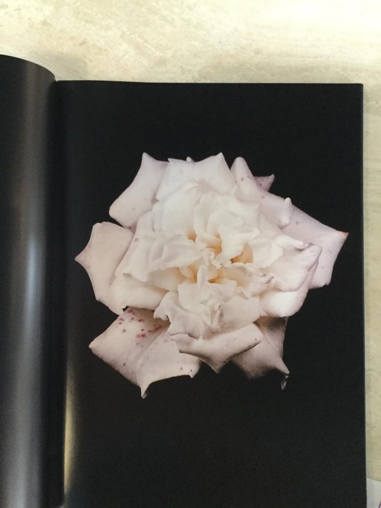 Visionaire Number 40 “Roses” by David Simms For Sale at 1stDibs