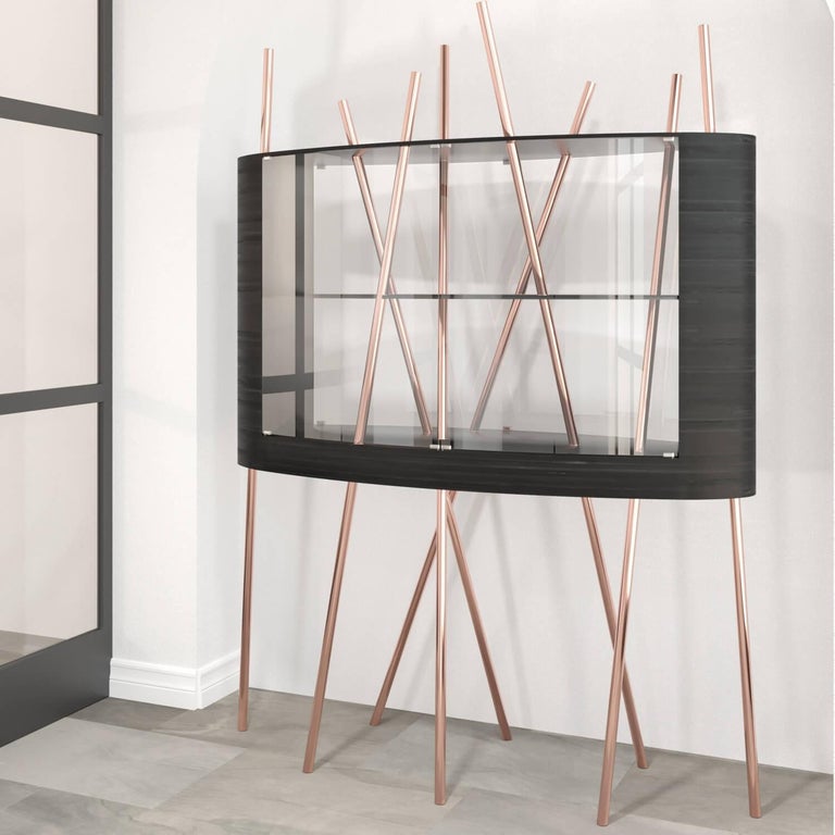 Vitrine Display Case in Walnut Wood, White Lacquer and Brushed ...