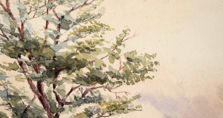 W Lund - Tree-Filled Valley and Mountains in West Brighton Staten ...