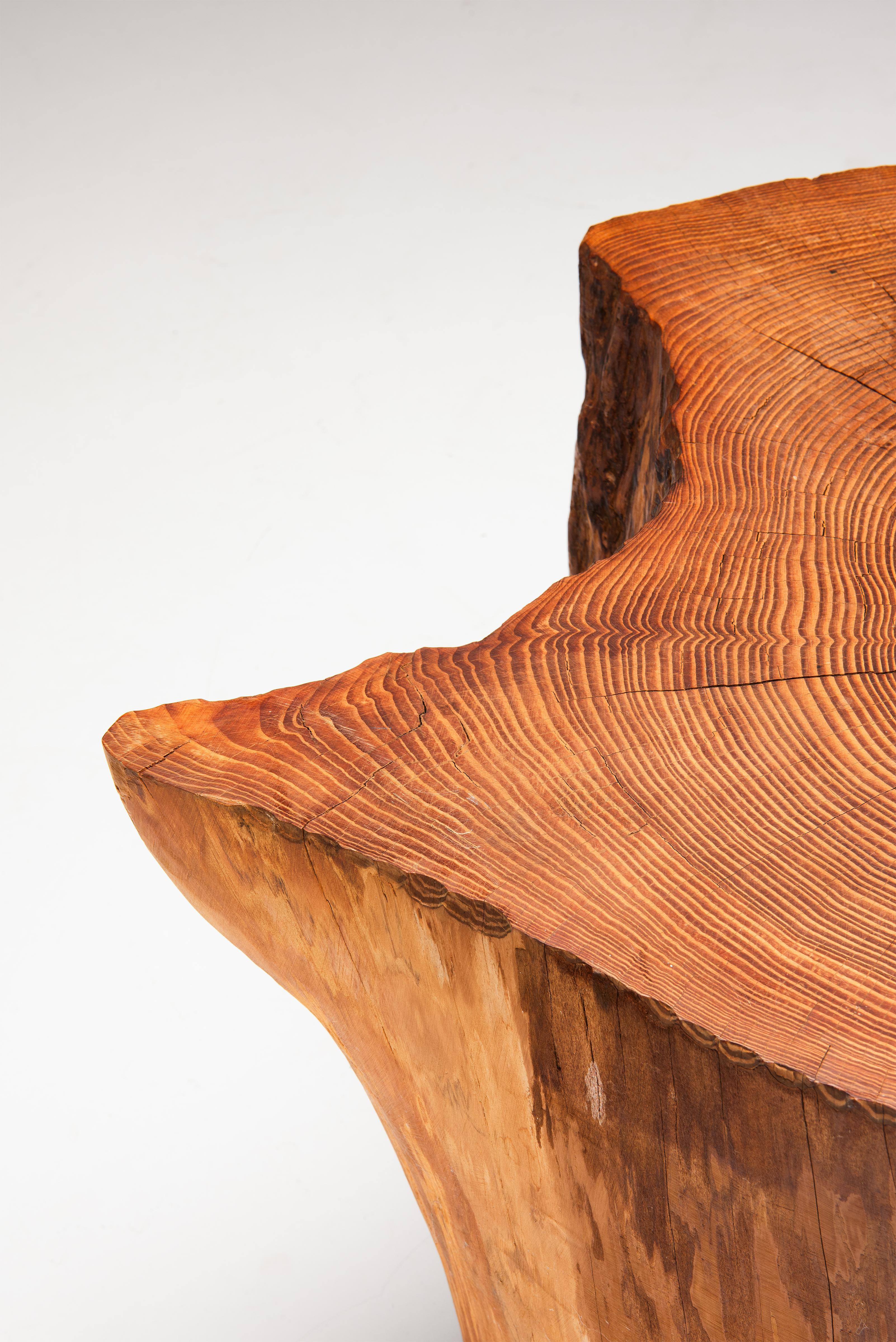 Wabi Sabi - Trunk Table For Sale at 1stDibs