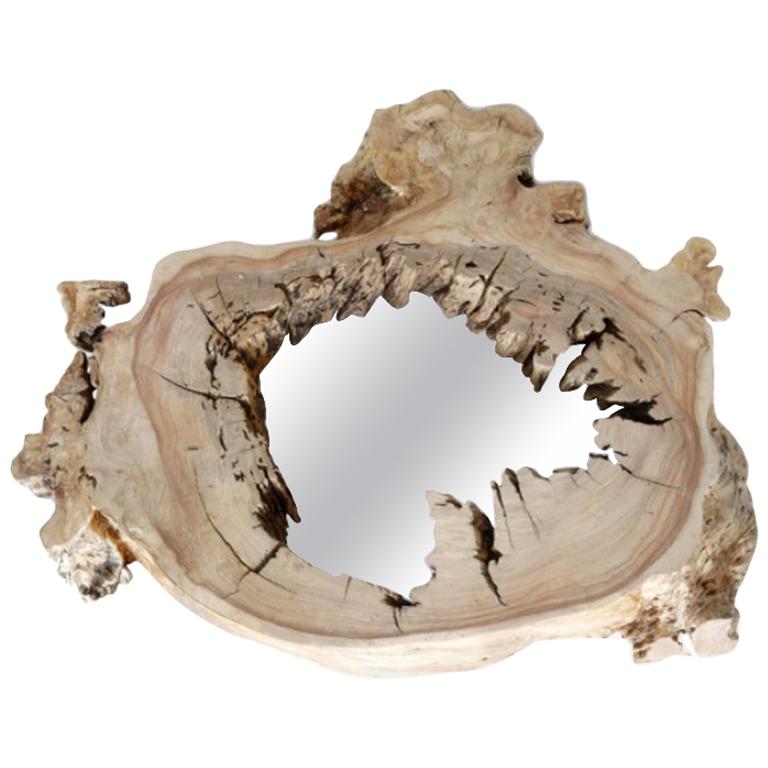 Wall Mirror with Olive Tree Frame, Unique Piece, Made in Italy For Sale ...