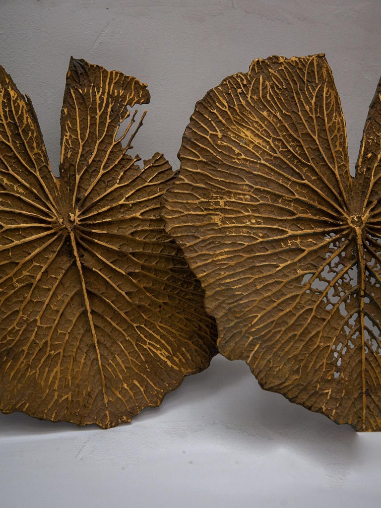 Wall Mounted Bronze Leave Sculptures, France at 1stDibs