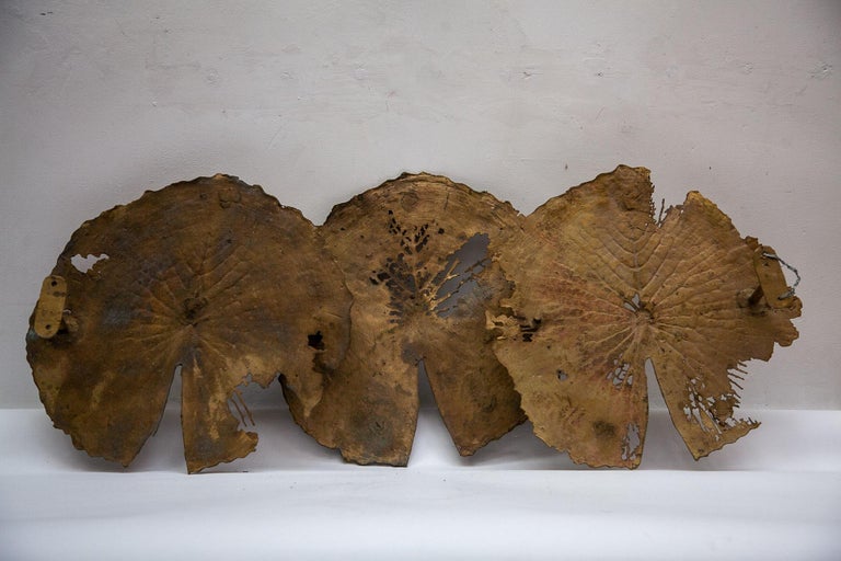 Wall Mounted Bronze Leave Sculptures, France at 1stDibs
