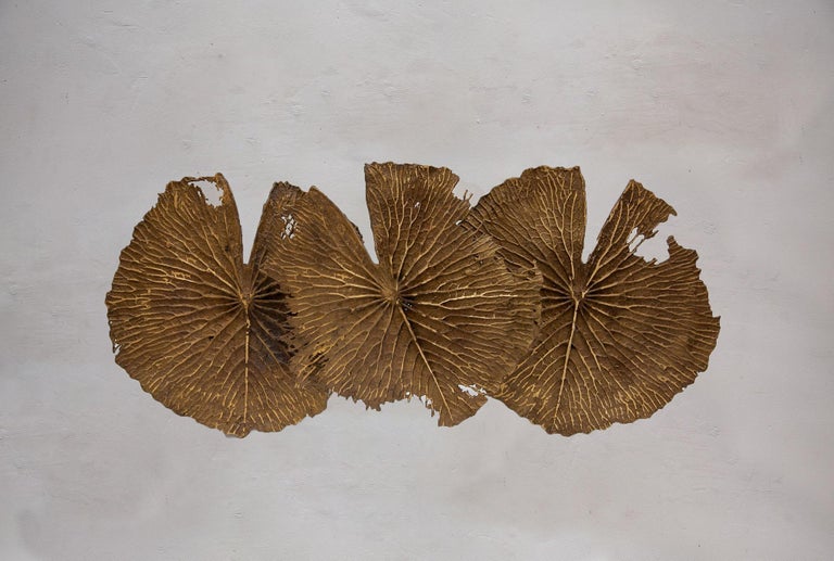 Wall Mounted Bronze Leave Sculptures, France at 1stDibs