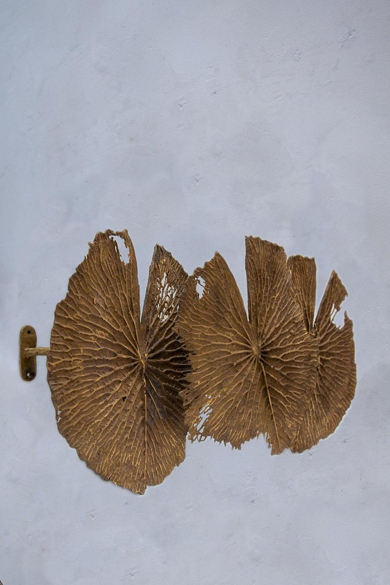 Wall Mounted Bronze Leave Sculptures, France at 1stDibs