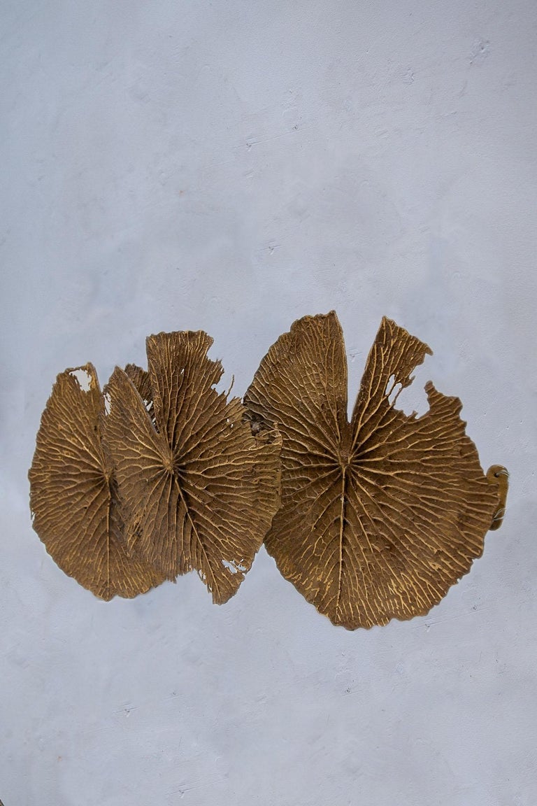 Wall Mounted Bronze Leave Sculptures, France at 1stDibs
