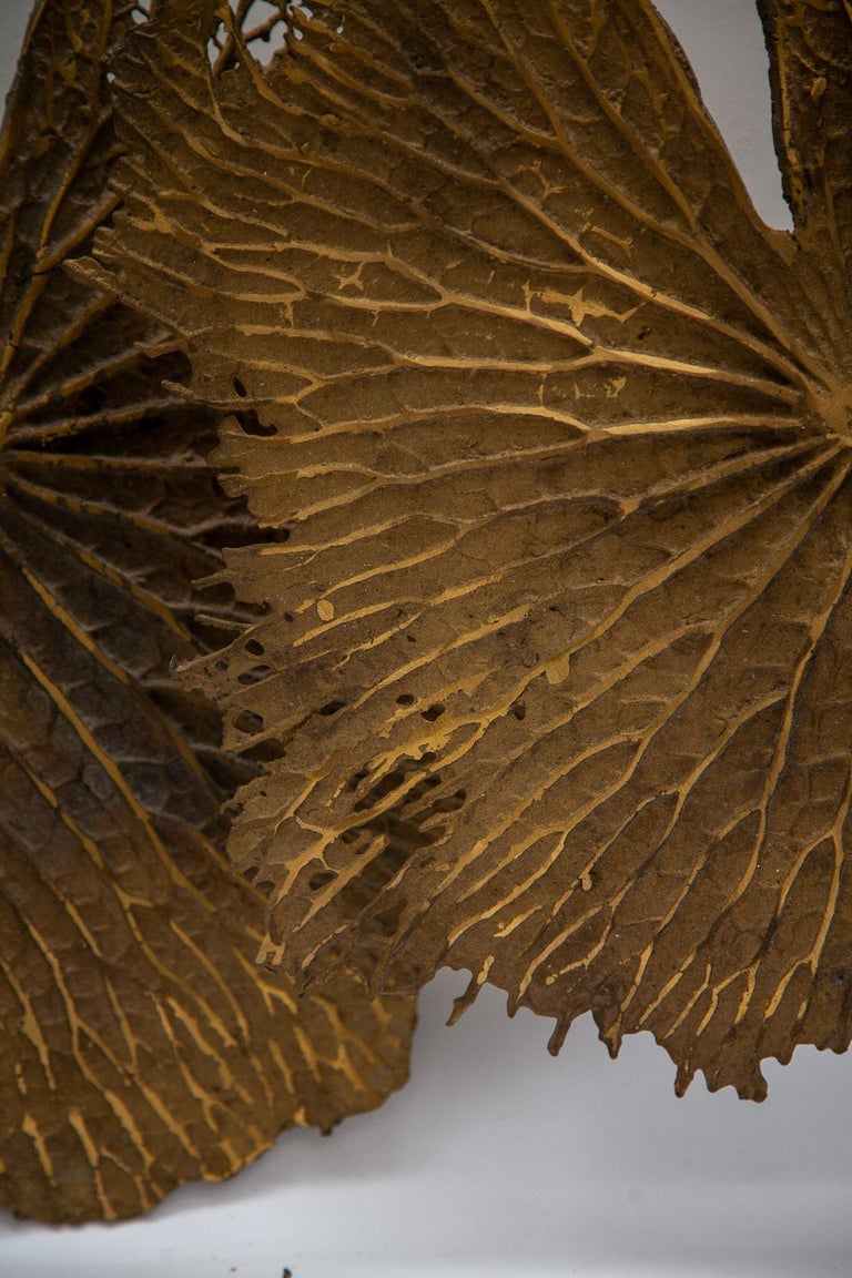 Wall Mounted Bronze Leave Sculptures, France at 1stDibs