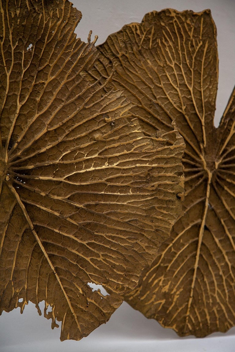 Wall Mounted Bronze Leave Sculptures, France at 1stDibs