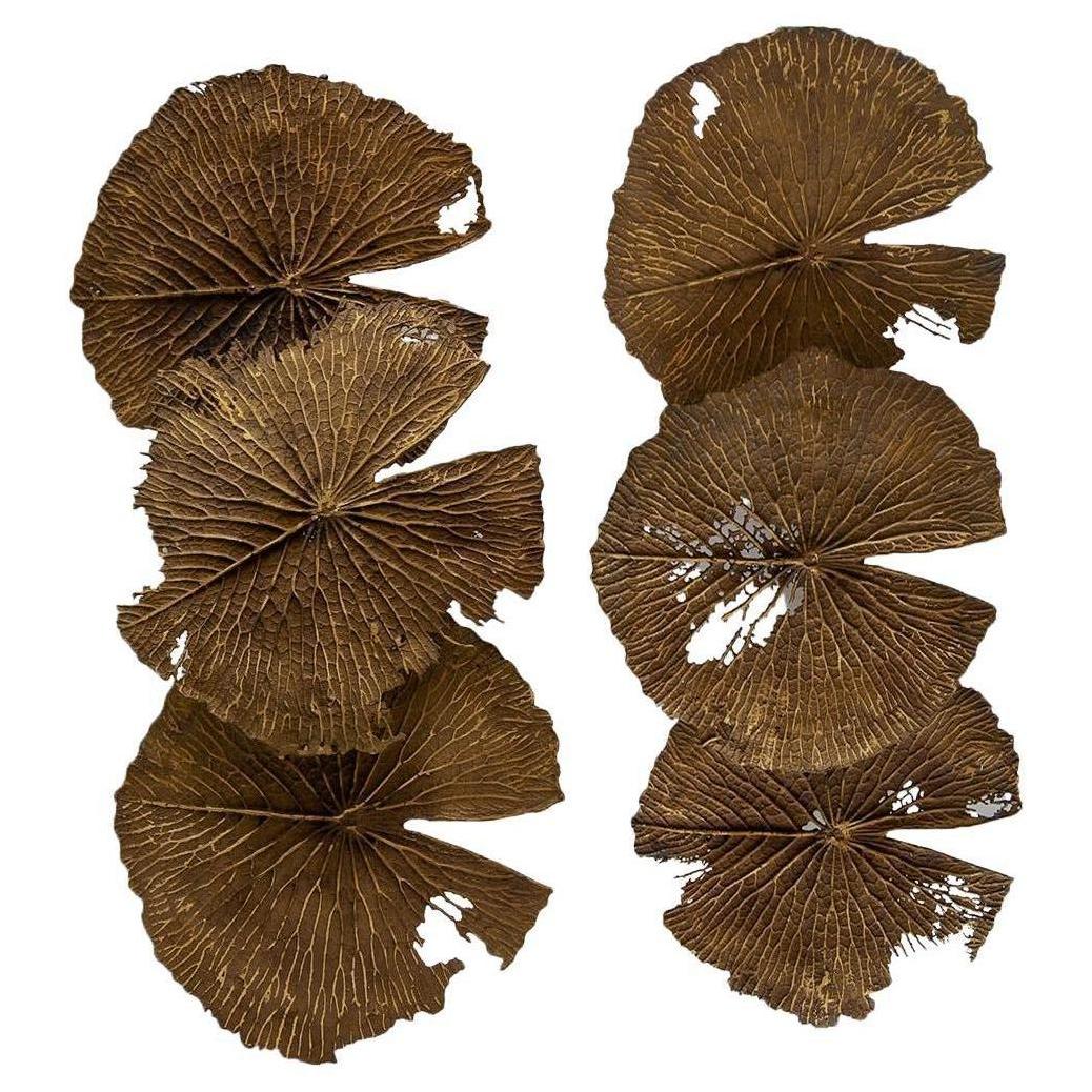 Wall Mounted Bronze Leave Sculptures, France at 1stDibs