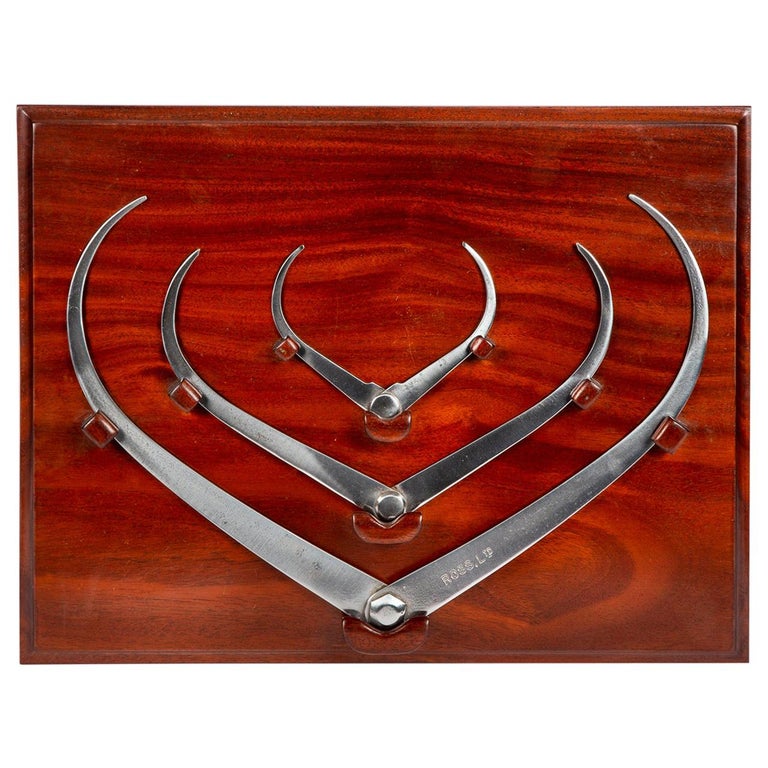 Wall Mounted Calipers from the Ross Optical Company London For Sale at ...