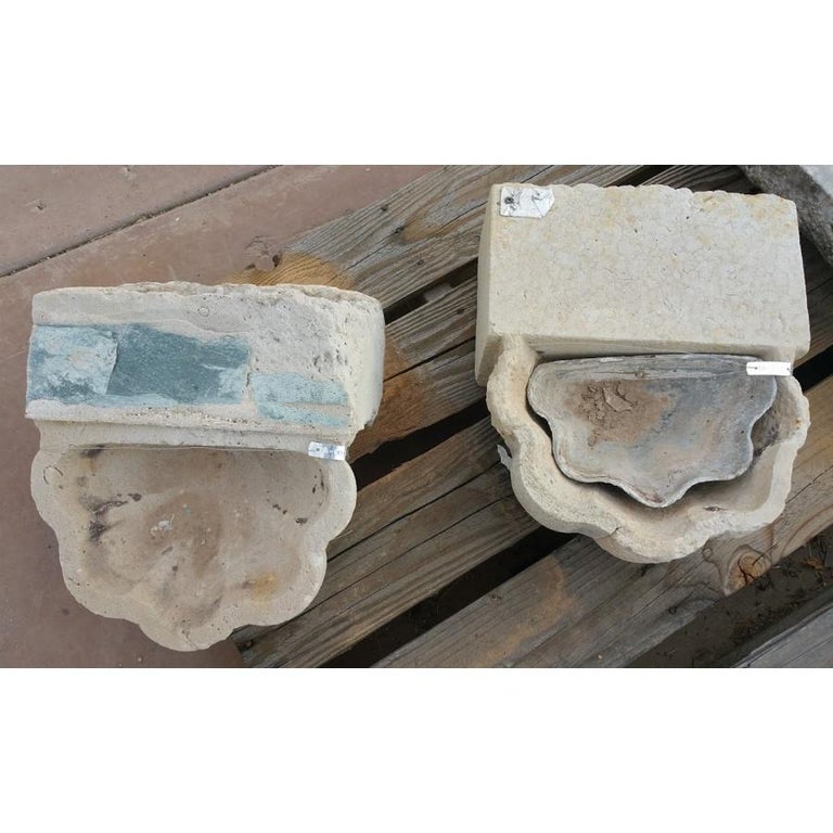 Wall-Mounted Shell Vessel For Sale at 1stDibs