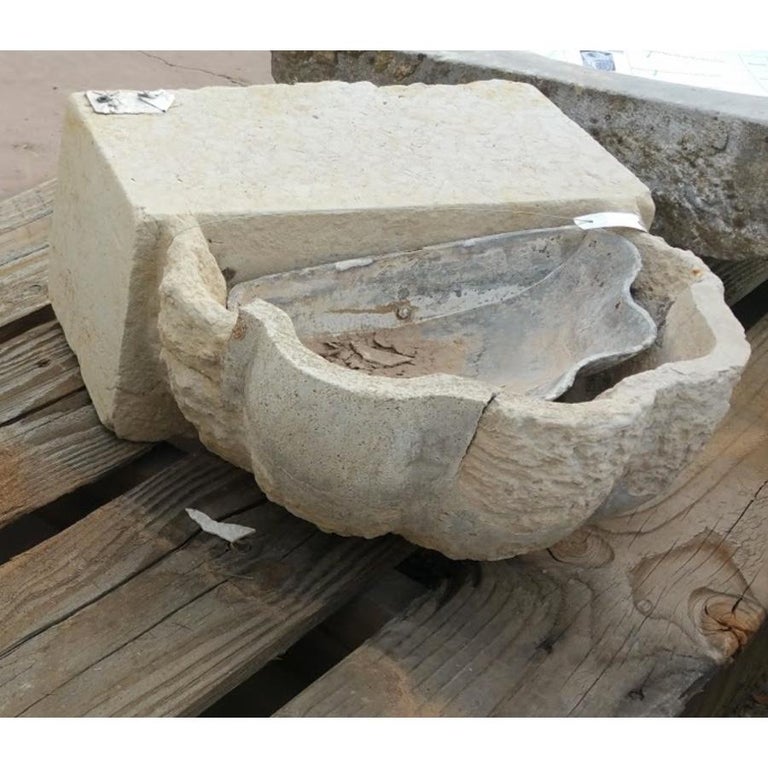 Wall-Mounted Shell Vessel For Sale at 1stDibs