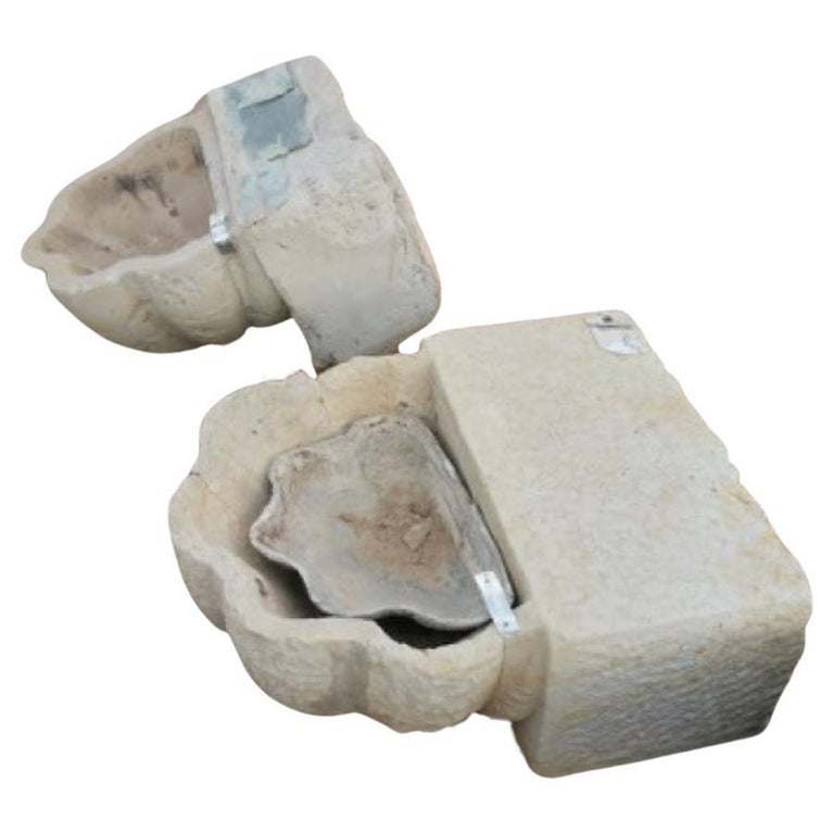 Wall-Mounted Shell Vessel For Sale at 1stDibs