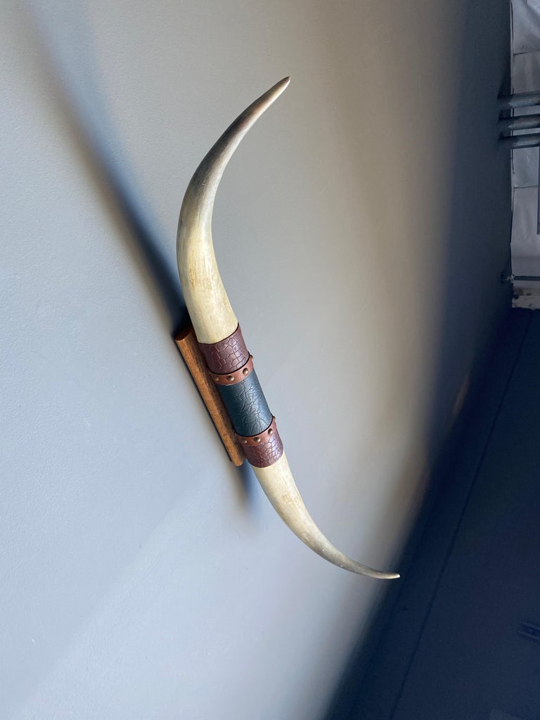 Wall Mounted Steer Horn at 1stDibs
