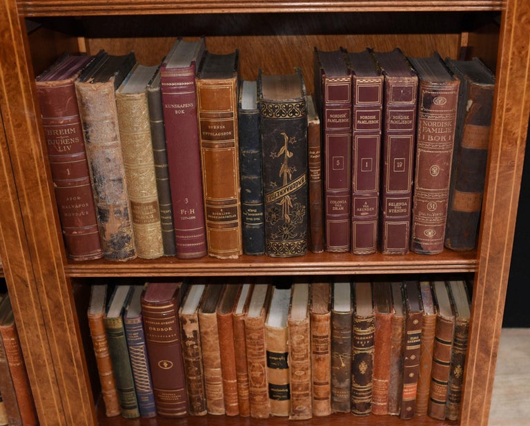 Walnut Bookcase, Single Sheraton Regency Open Bookcases For Sale at 1stDibs