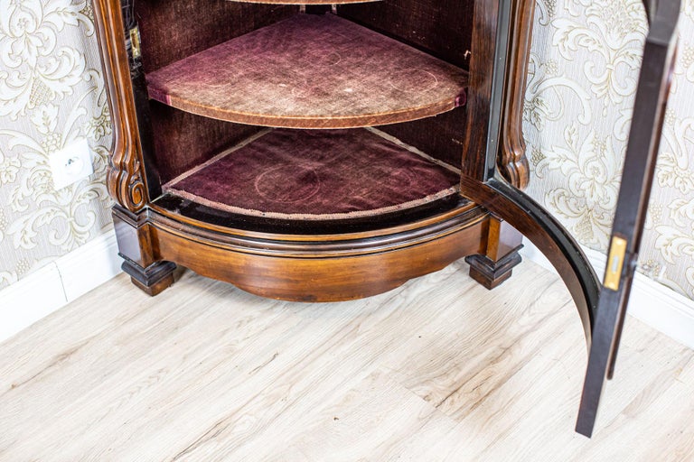 Dark Brown Walnut Corner Commode From the 2nd Half of the 19th Century ...